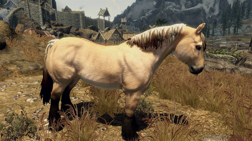 Realistic Primitive Horse Breeds 2k I